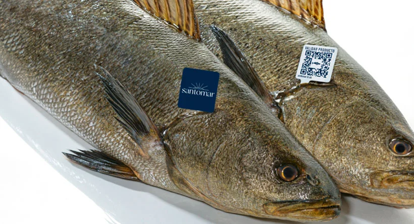 Totoaba - Santomar®